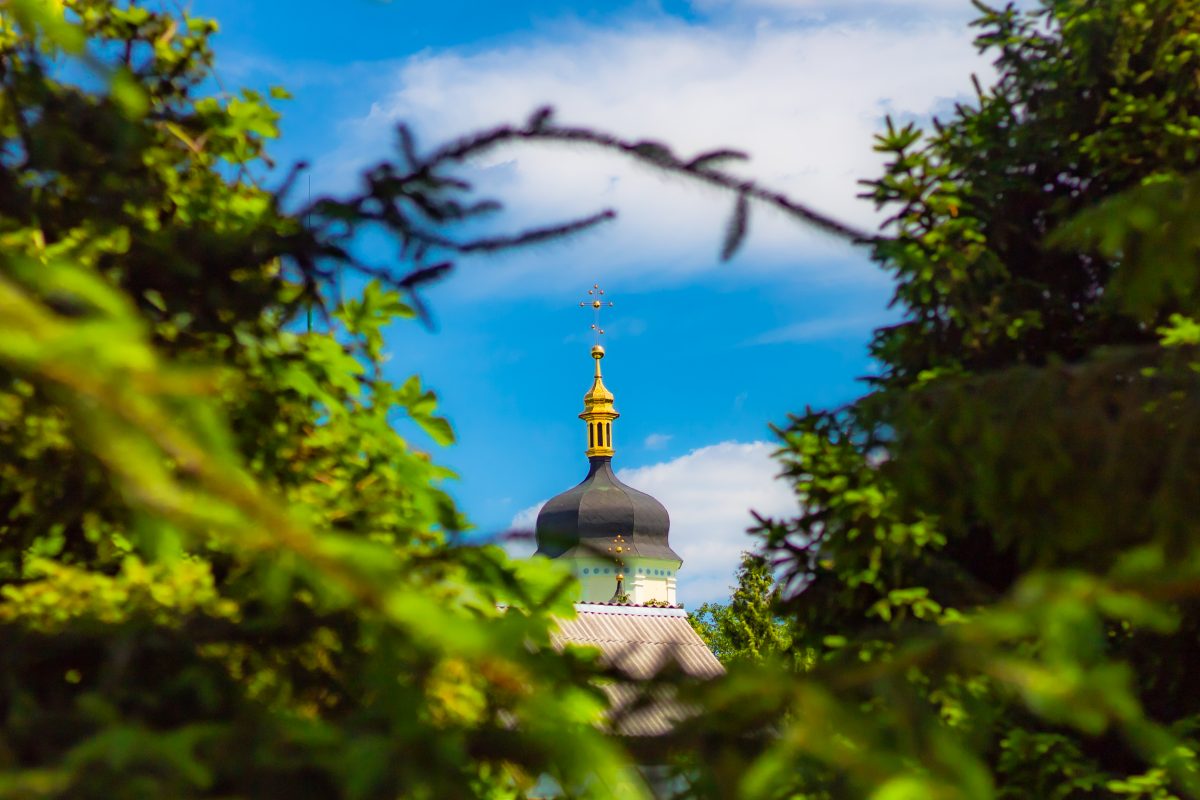 Church – Life Is Strange Fans