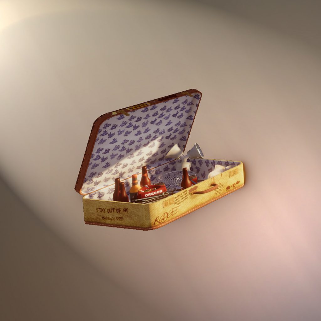 Suitcases – Life Is Strange Fans