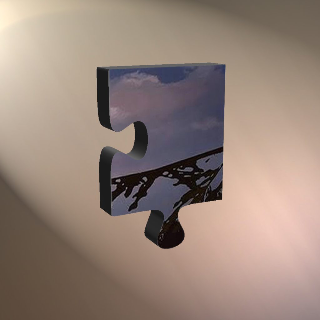 Puzzle Pieces Archive – Life Is Strange Fans