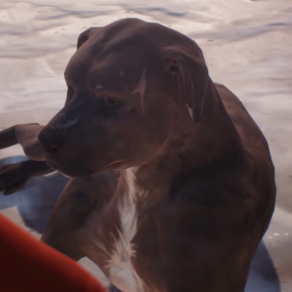 #264 - Finn's Dog – Life Is Strange Fans